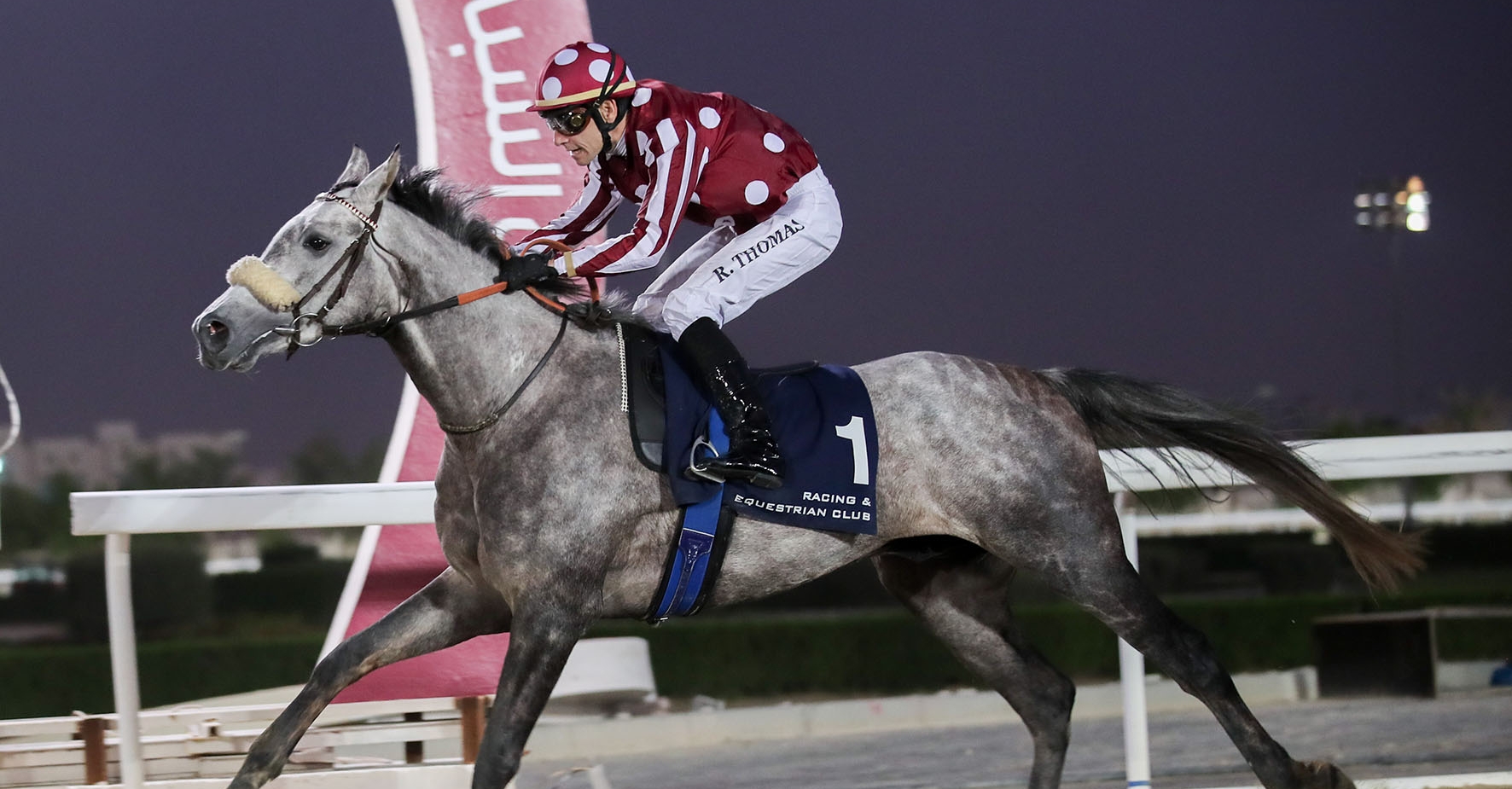 PREMIERE COURSE ET PREMIERE VICTOIRE D'AKMAR - Actualités